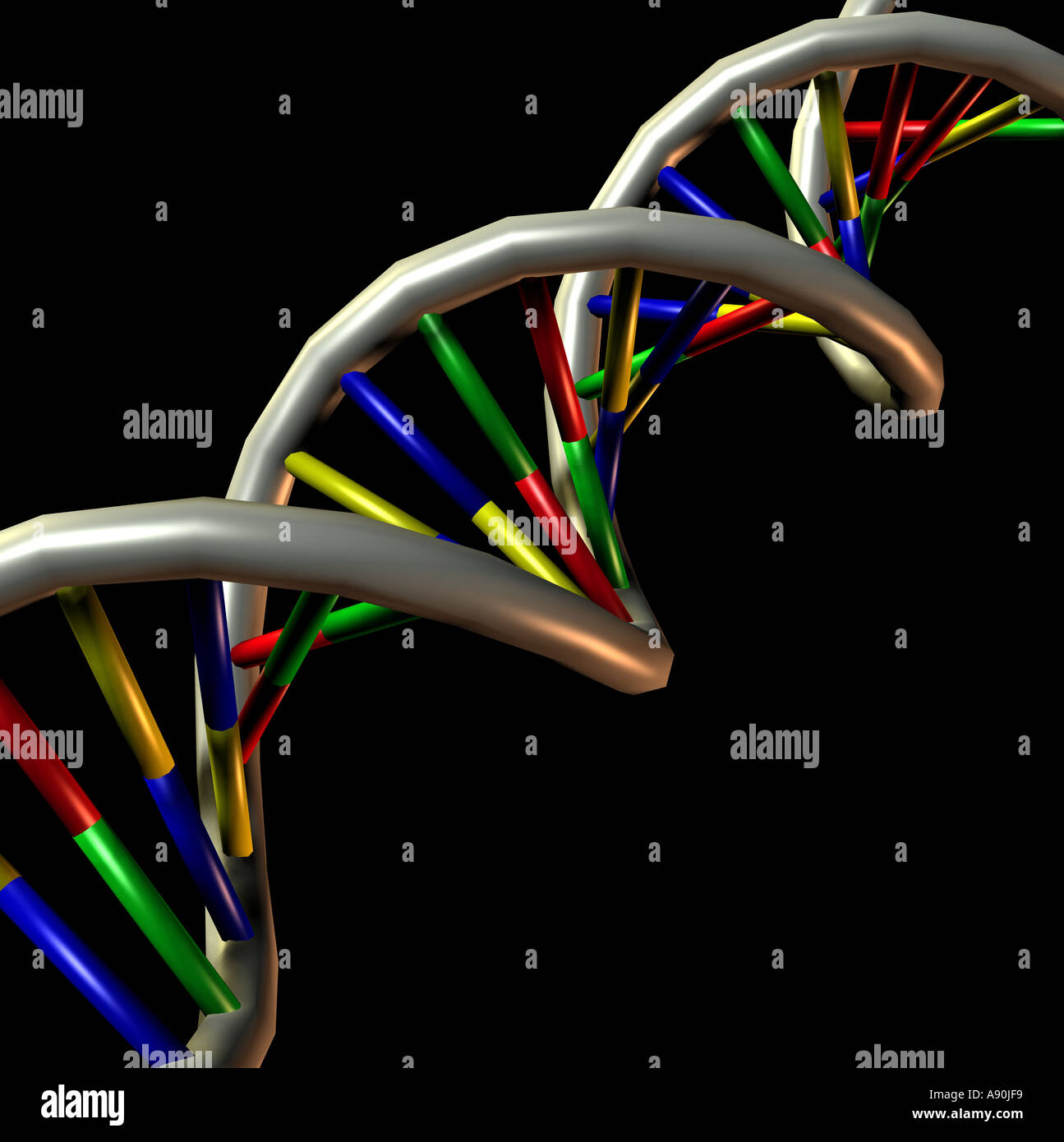 Genotype diagram hi-res stock photography and images - Alamy