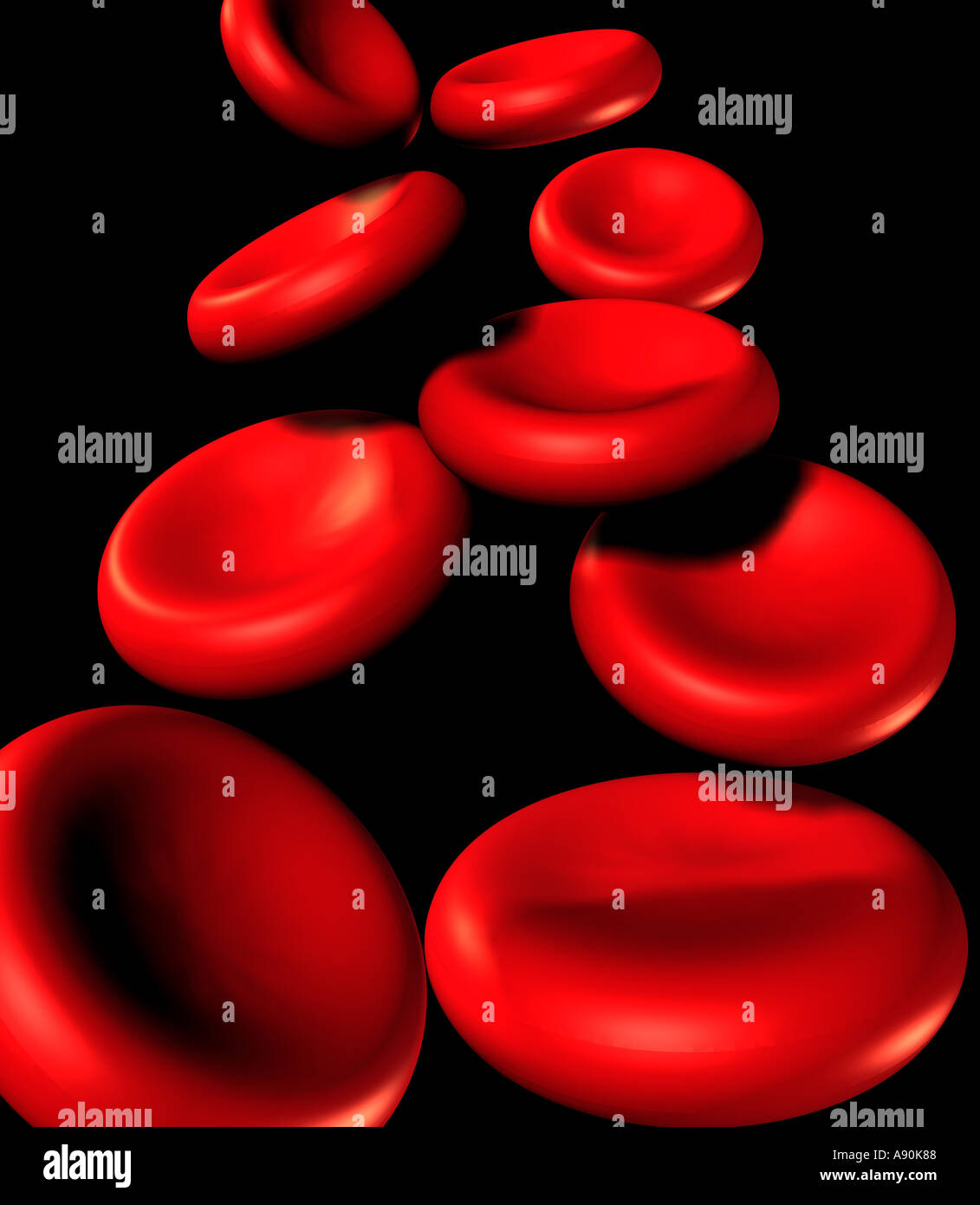 Physiology of red blood cells hi-res stock photography and images - Alamy