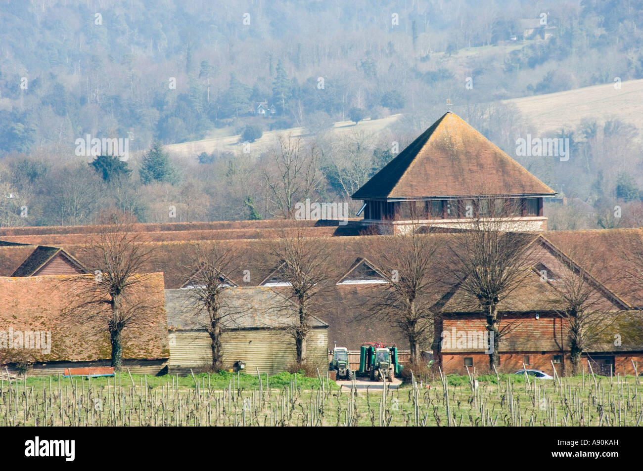 The buildings of Denbies winery, near Dorking, Surrey, England Stock ...
