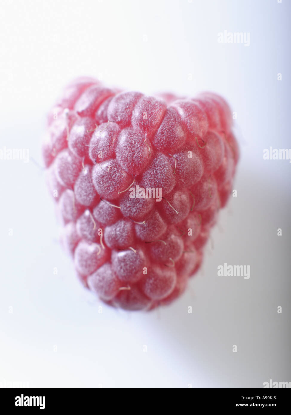 One single berry hi-res stock photography and images - Alamy