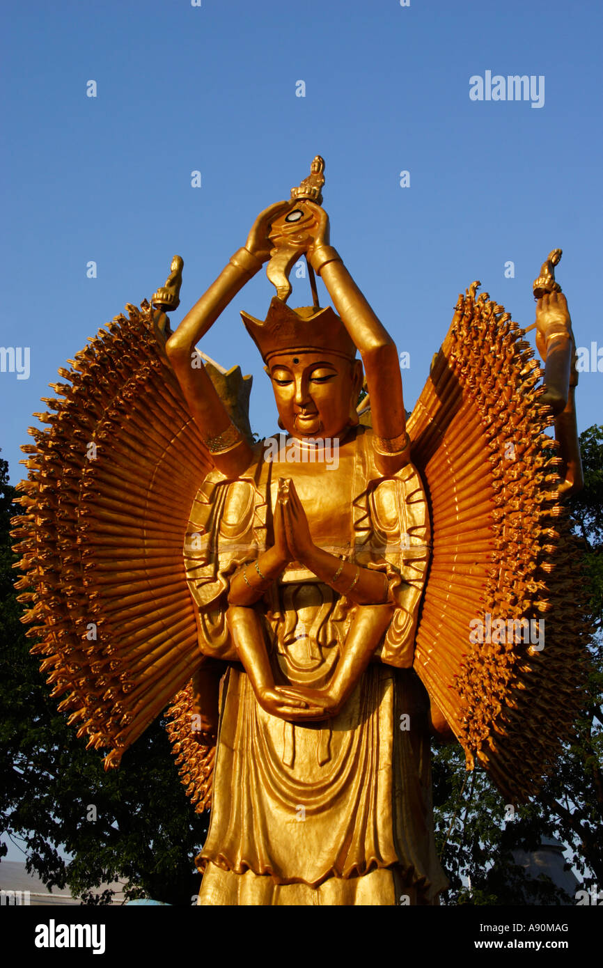 Thousand eyes hi-res stock photography and images - Alamy