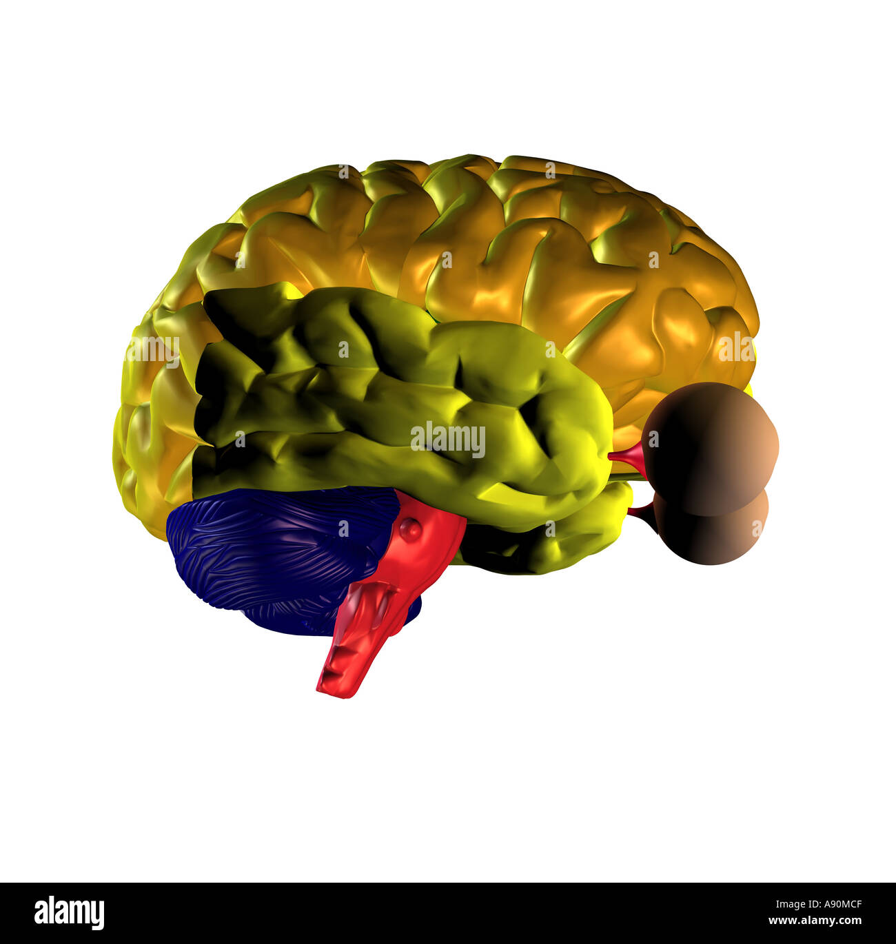 Apoplectic fit hi-res stock photography and images - Alamy