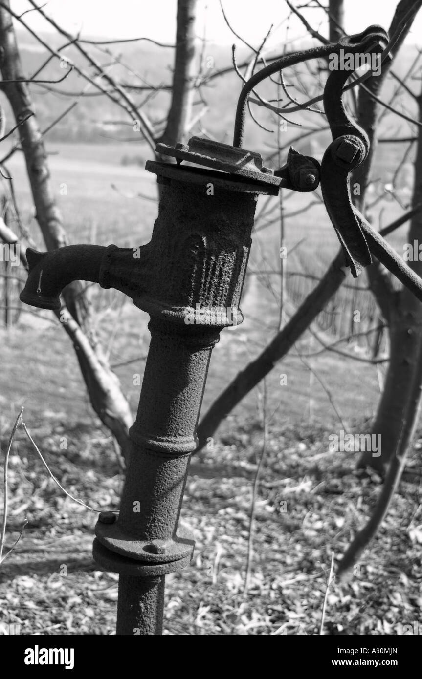 Old rusted water pump in woodland Stock Photo - Alamy
