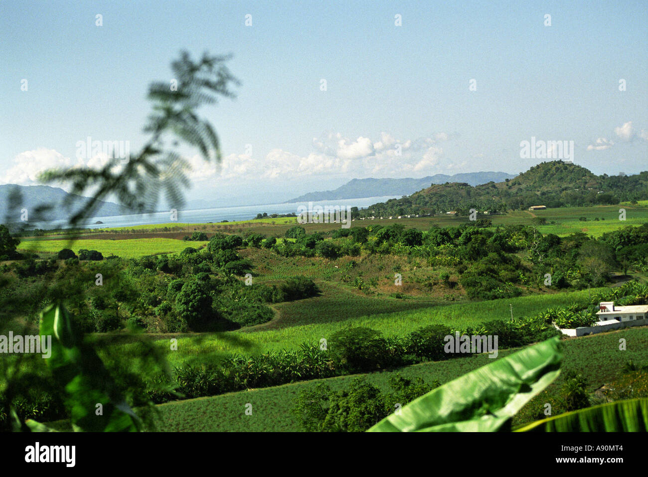 NOSY BE MADAGASCAR AFRICA August Looking across the sugar cane fields ...