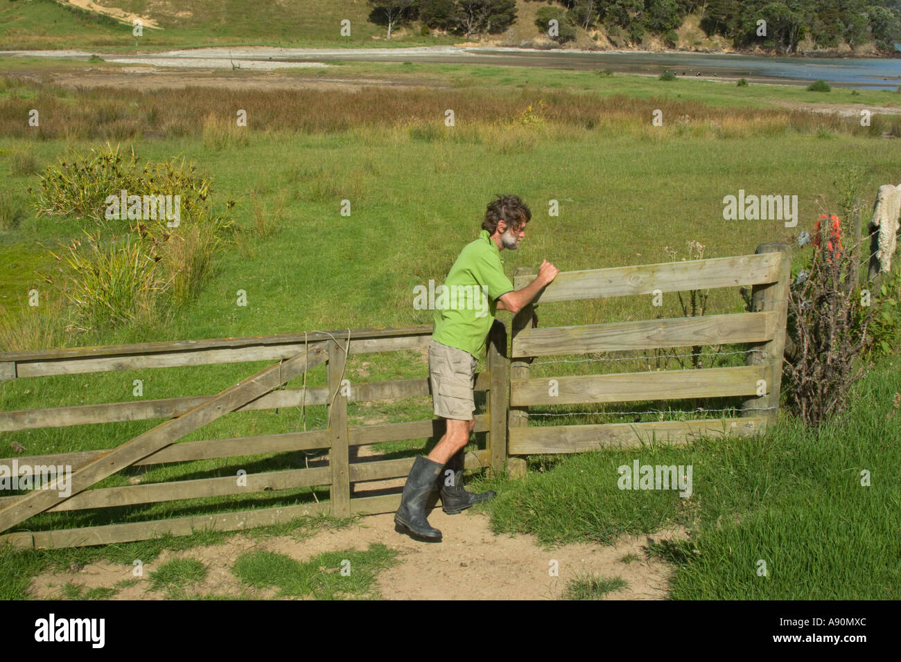 New Zealand sheep farmer opens gate man Stock Photo - Alamy
