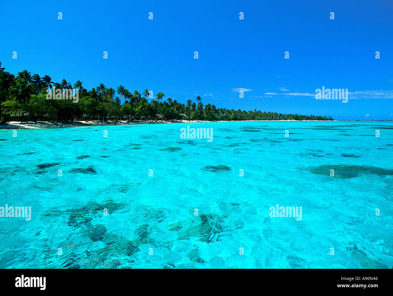 Moorea french polynesia Stock Photo - Alamy