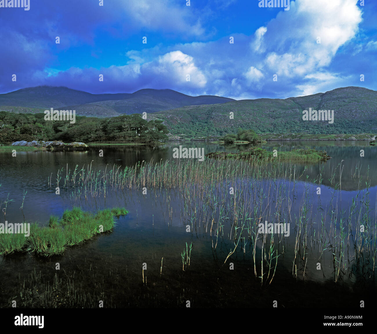 Irish lakeland hi-res stock photography and images - Alamy