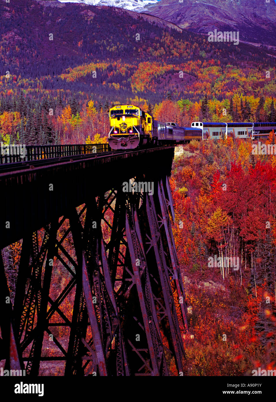 The Alaska Railroad crossing the Park Entrance Bridge at Denali Park ...