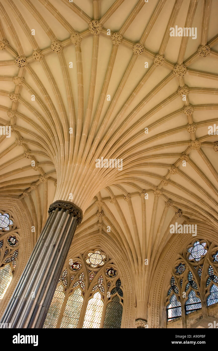 England Somerset Wells Cathedral Chapter House medieval vaulted ceiling ...