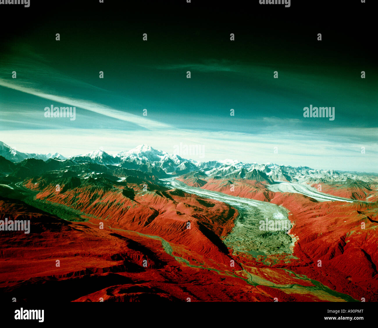 Low altetude color infra red photograph of Denali National Park in ...