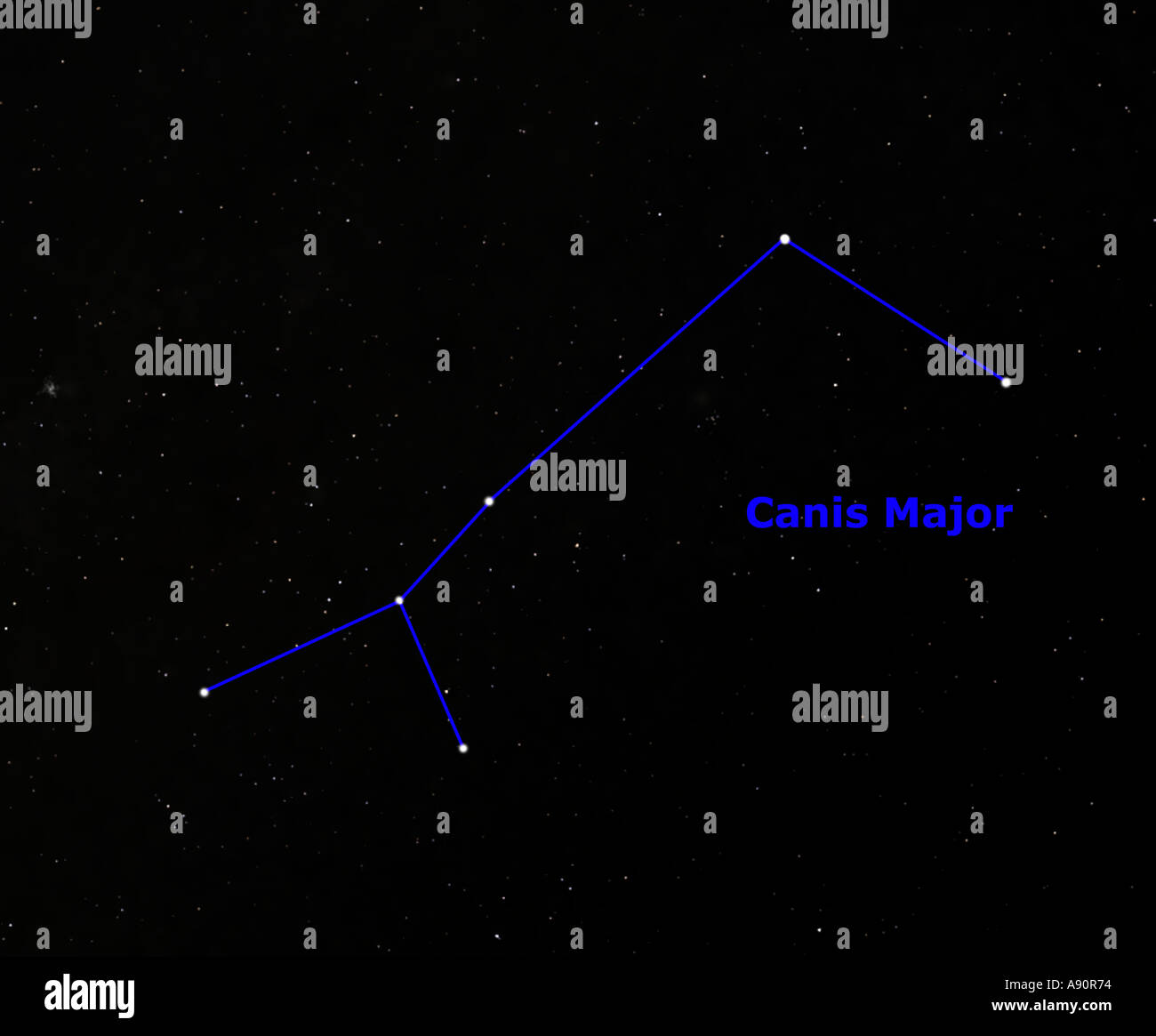 Canis major constellation hi-res stock photography and images - Alamy
