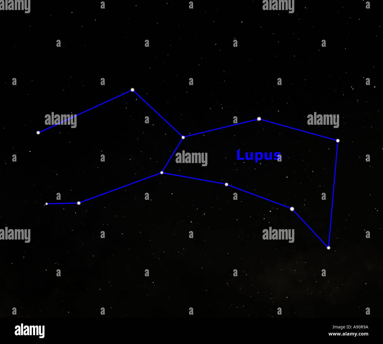 Lupus Constellation Symbol