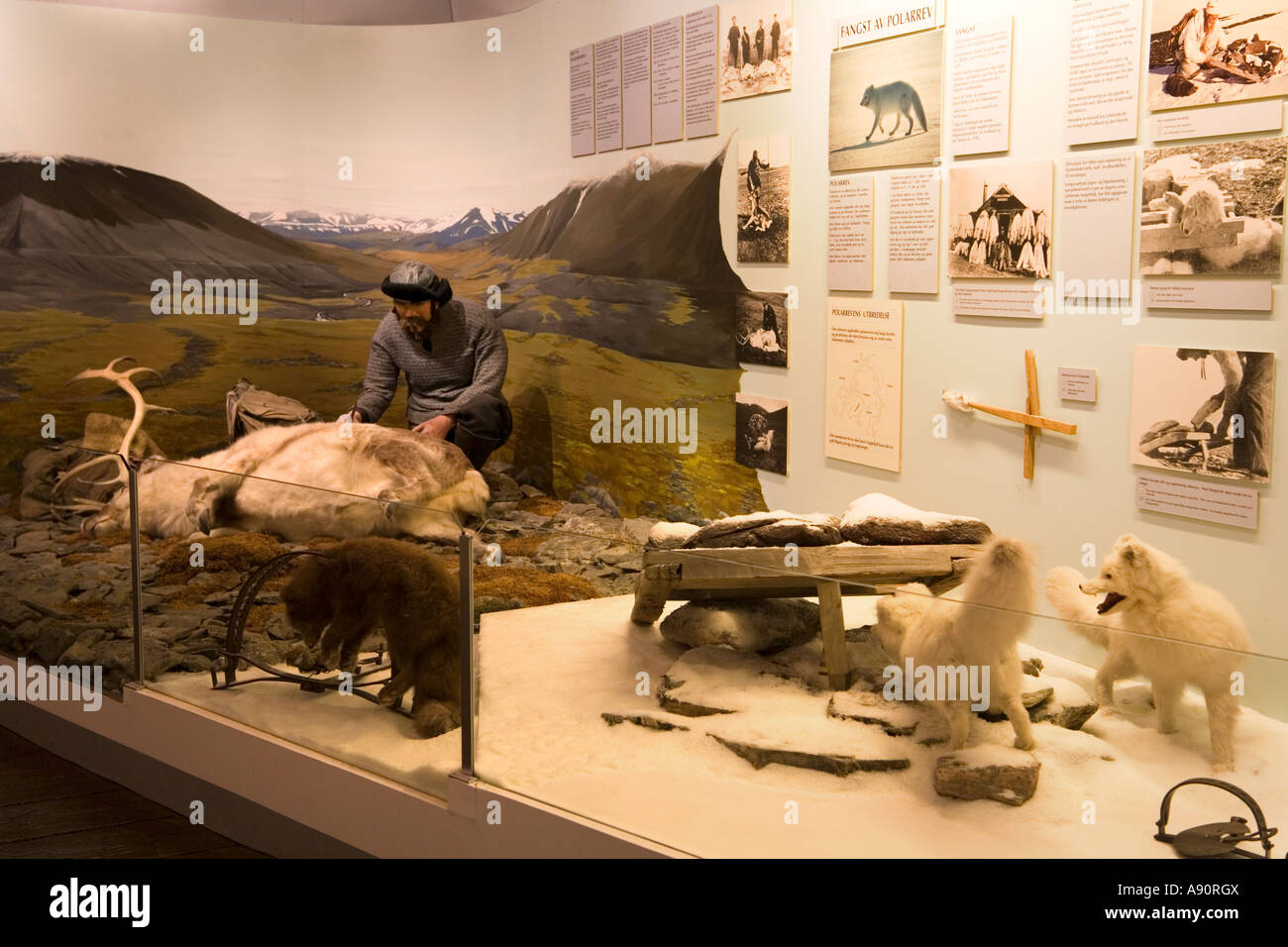 Exhibit about hunting the reindeer living on Svalbard in the Polar ...