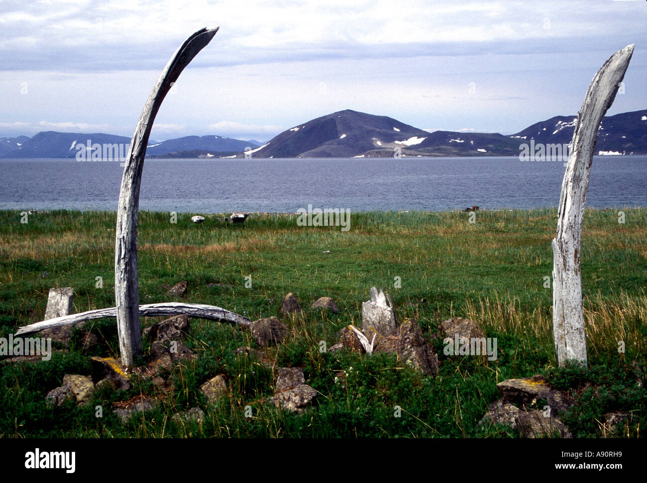 Head bow hi-res stock photography and images - Alamy