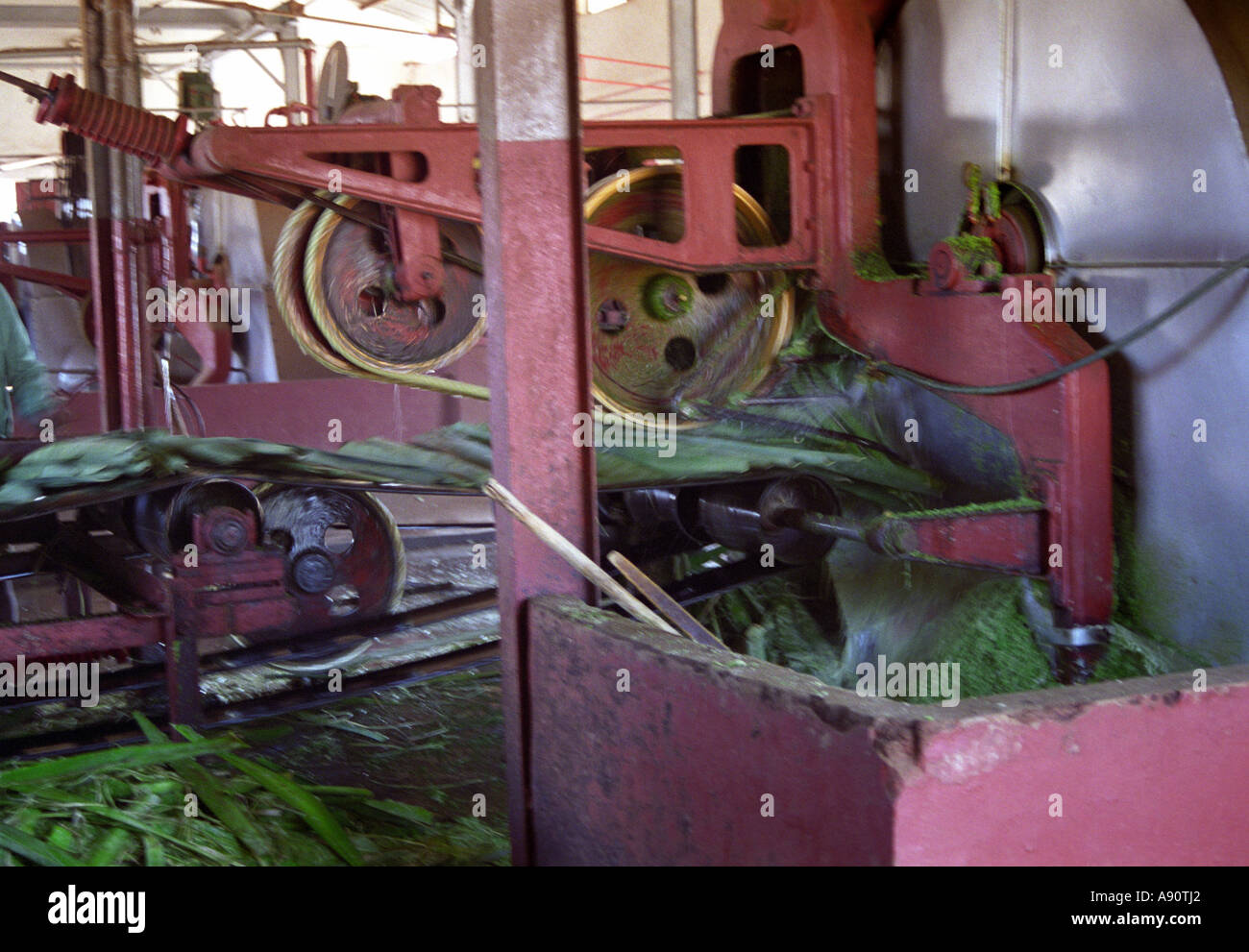 MADAGASCAR AFRICA July Inside a factory that processes the raw sisal ...
