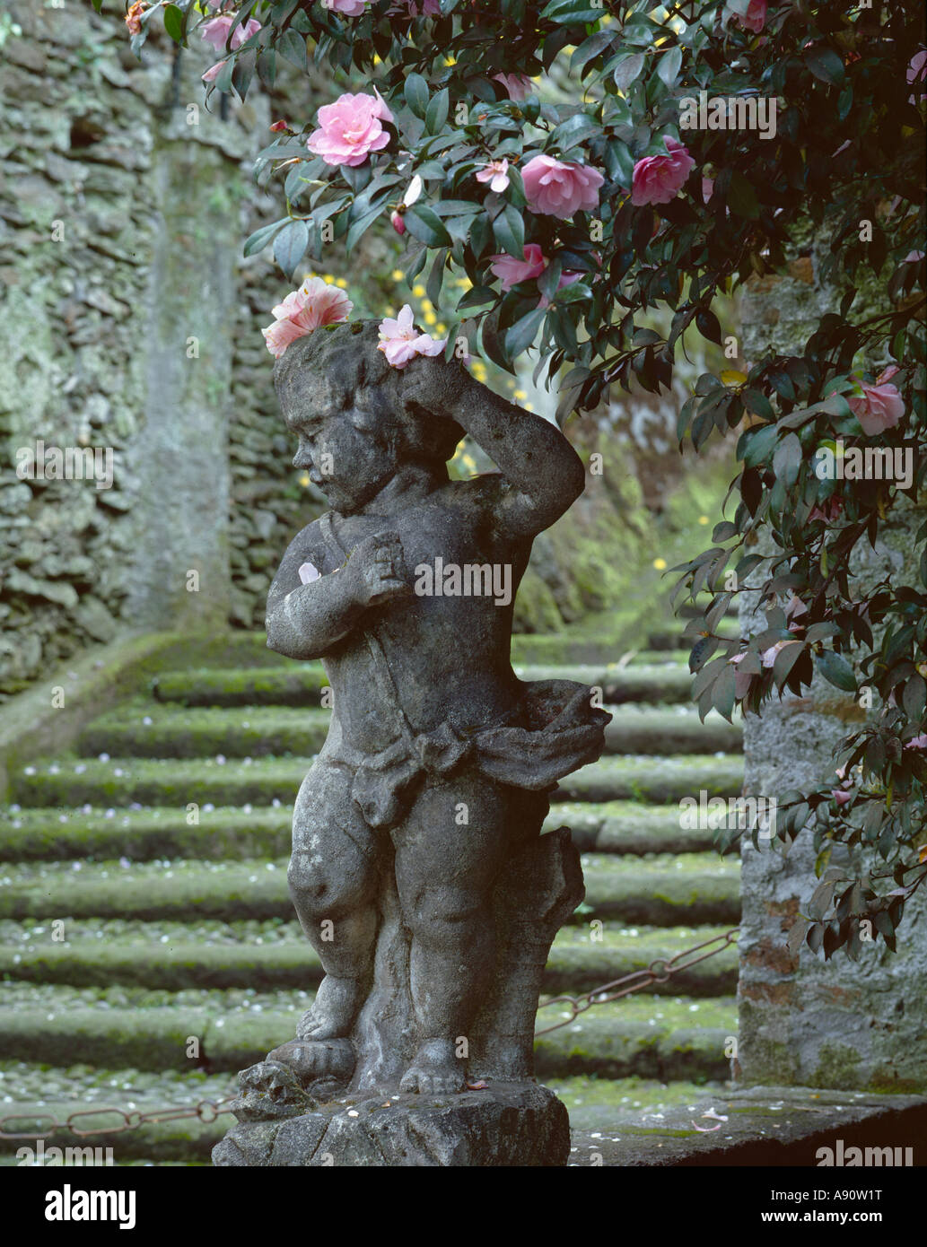 Cherub flowers hi-res stock photography and images - Alamy