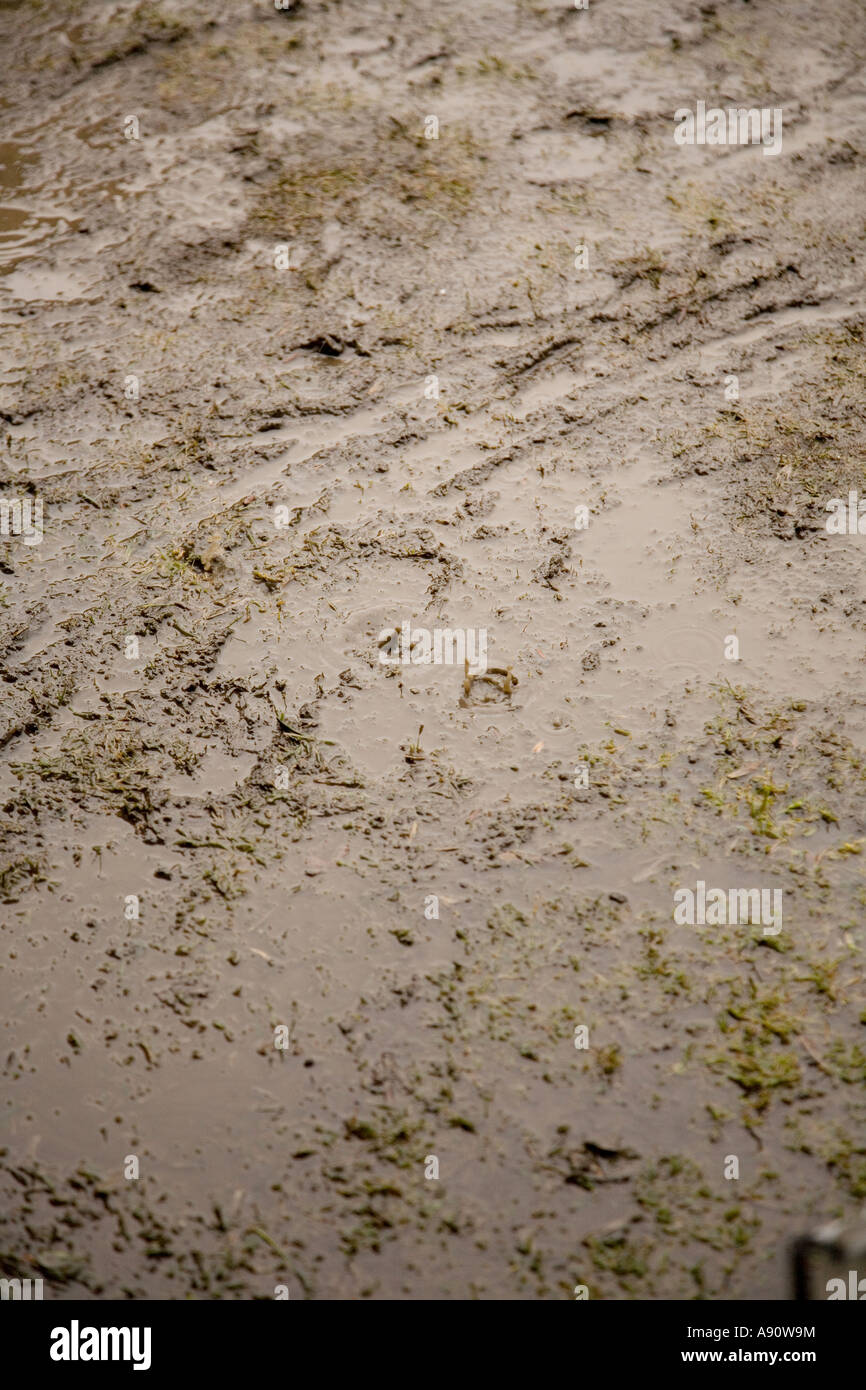 Typical British Weather, Rain and Mud Stock Photo - Alamy