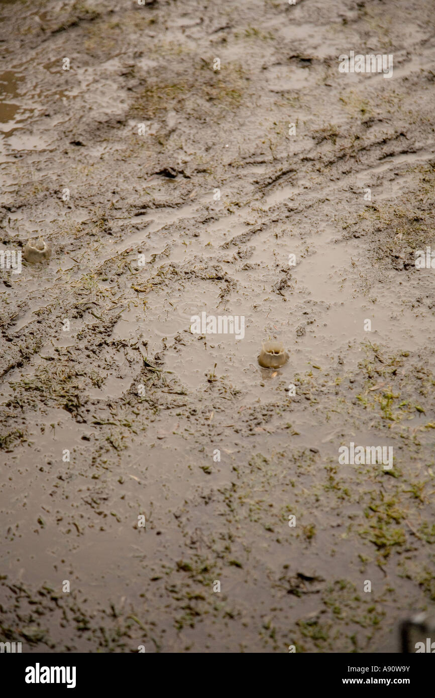 British Weather, nice mud etc! Stock Photo - Alamy