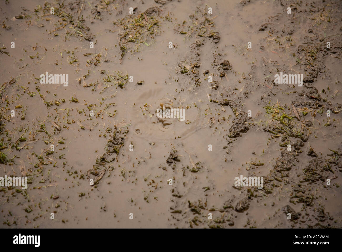 British Weather, Mud etc Stock Photo - Alamy