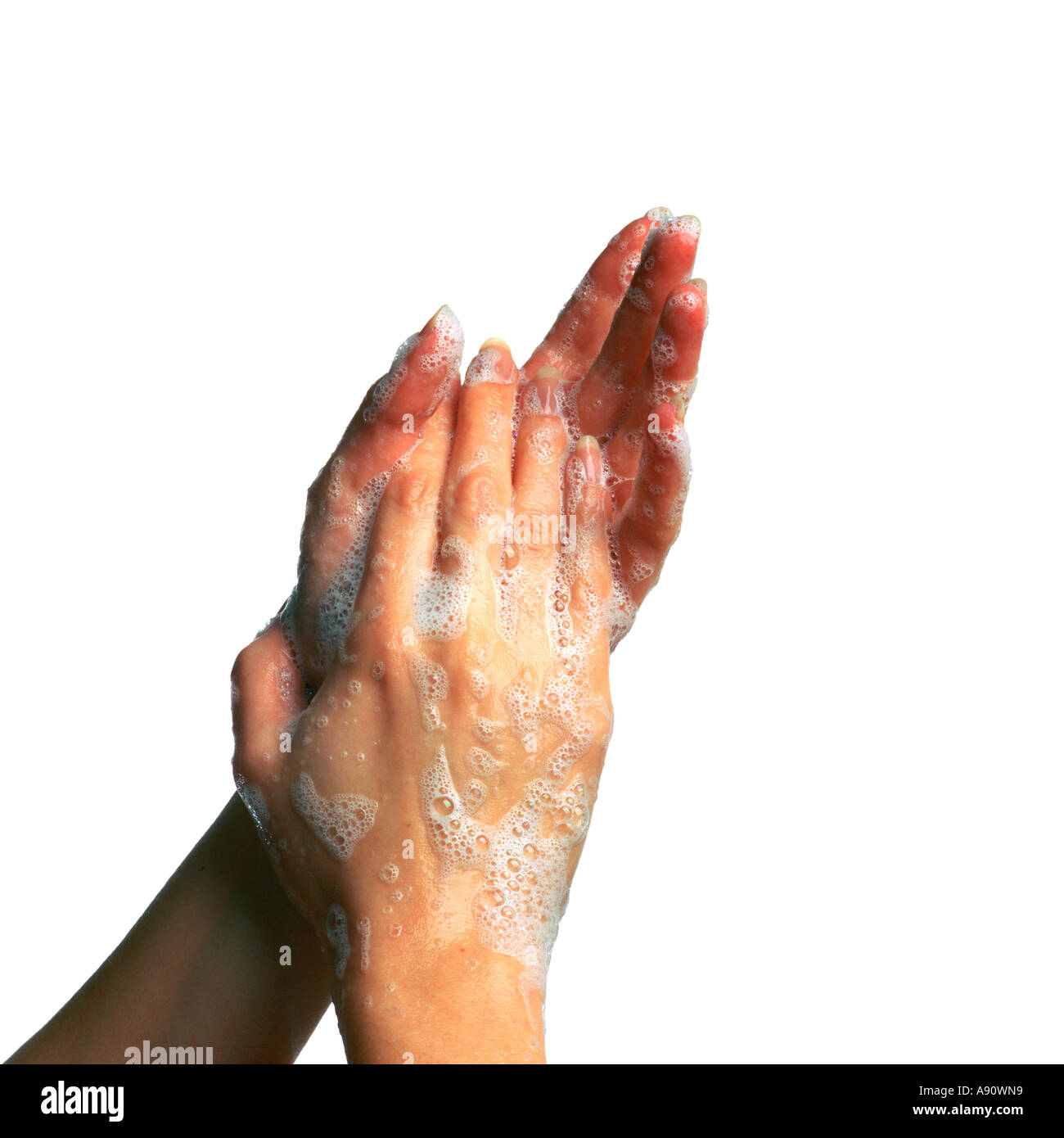Soapy Hands Lathering Up Stock Photo - Alamy