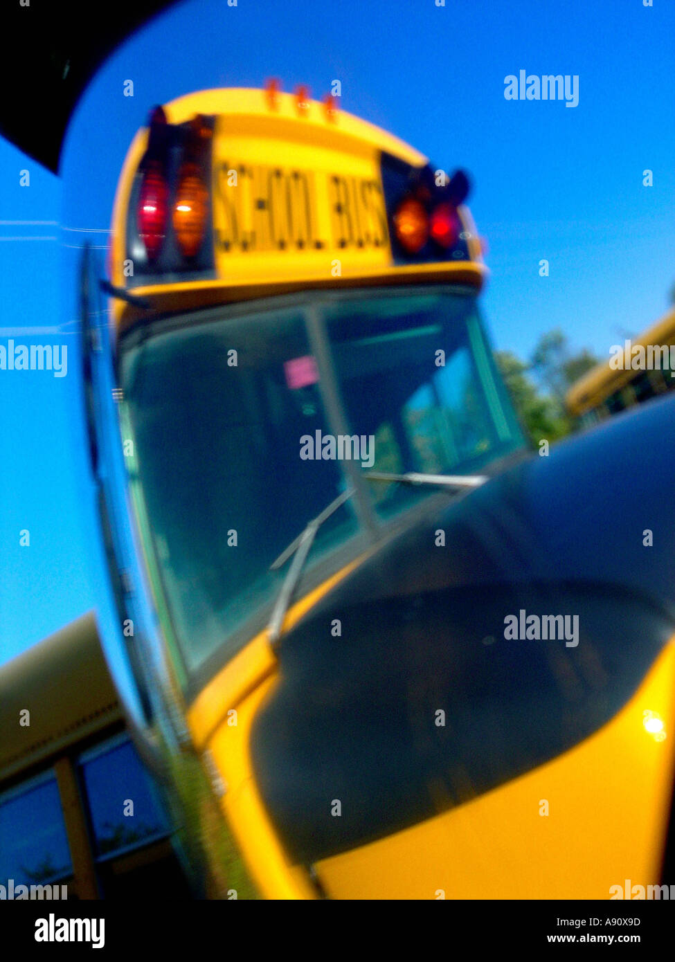 Yellow School Bus from Distorted Angle on a Bright Sunny Day Stock ...