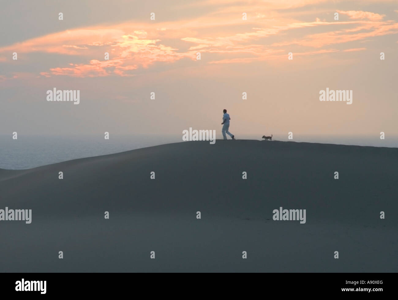 Dog chasing man hi-res stock photography and images - Alamy