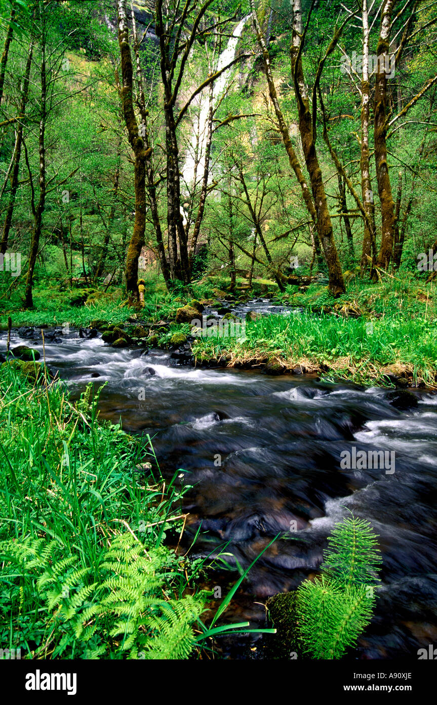 Golden and silver falls state park hi-res stock photography and images ...
