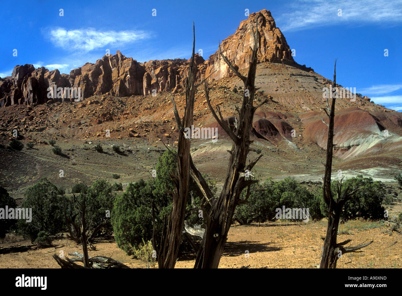 Pcr circle hi-res stock photography and images - Alamy