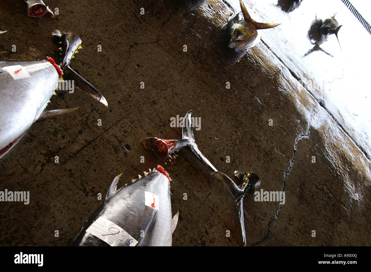 Shiogama fish market hi-res stock photography and images - Alamy