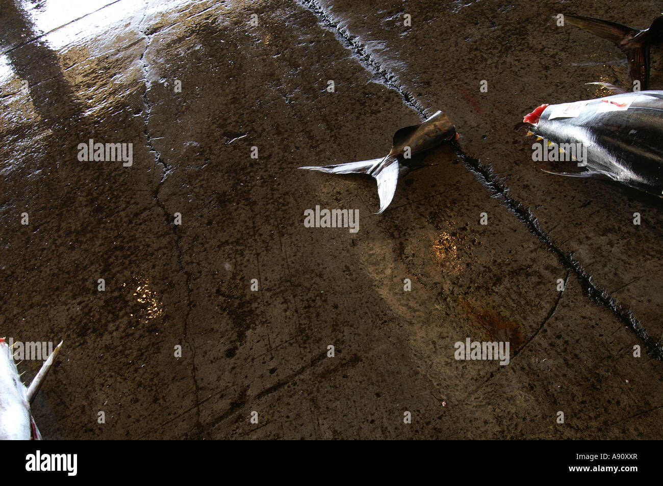 Shiogama fish market hi-res stock photography and images - Alamy