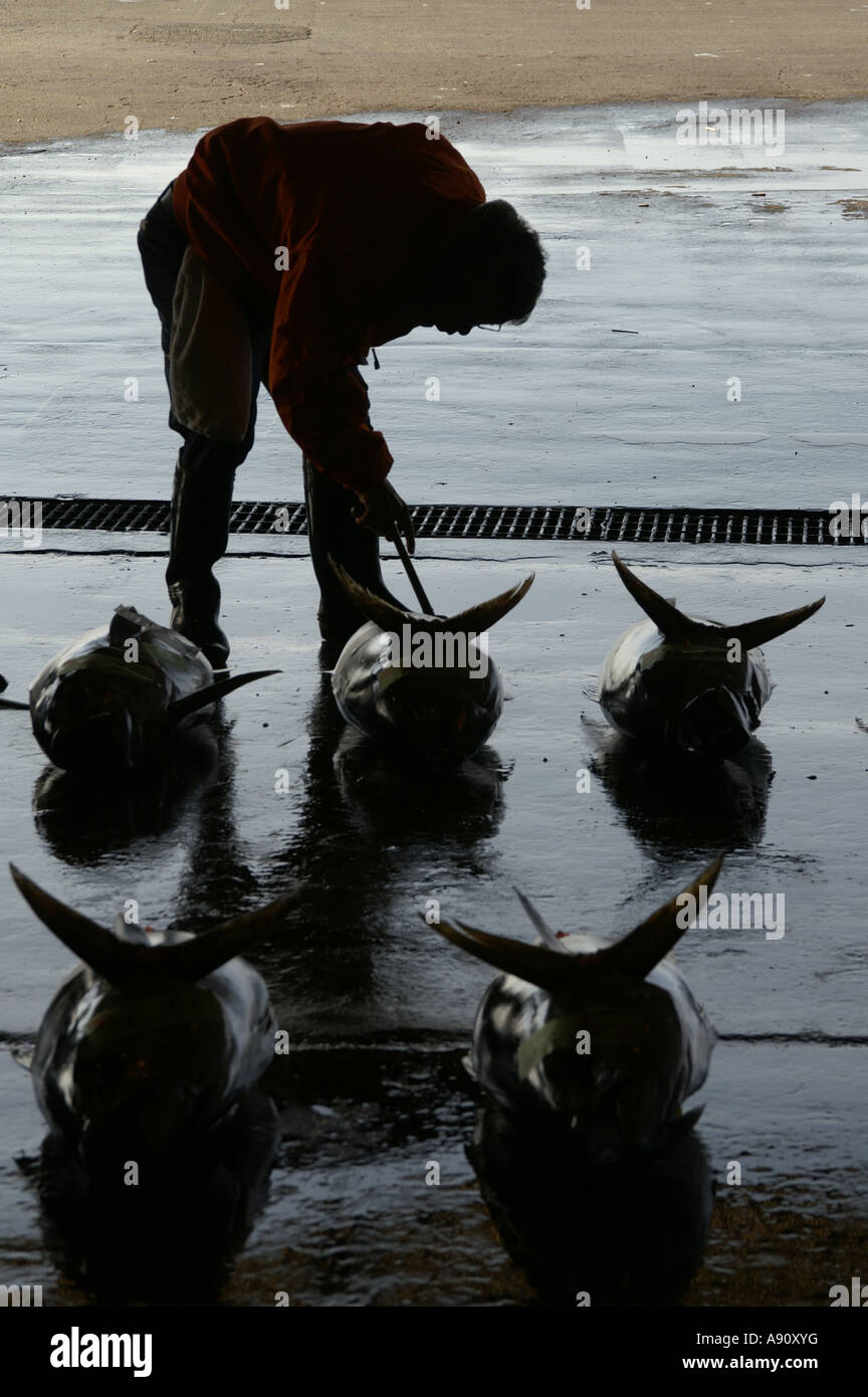 Wholesale tuna fish market Hon Shiogama Stock Photo - Alamy