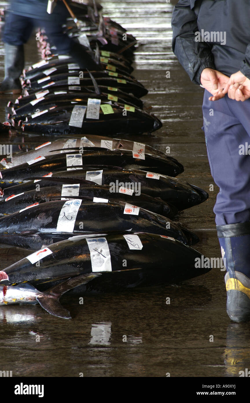 Wholesale tuna fish market Hon Shiogama Stock Photo - Alamy