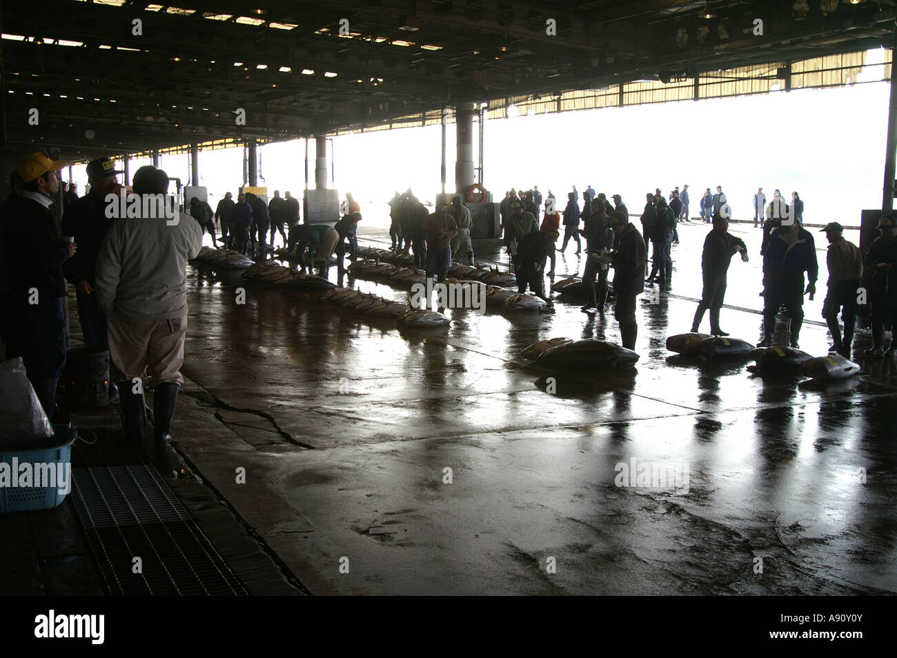 Wholesale tuna fish market Hon Shiogama Stock Photo - Alamy
