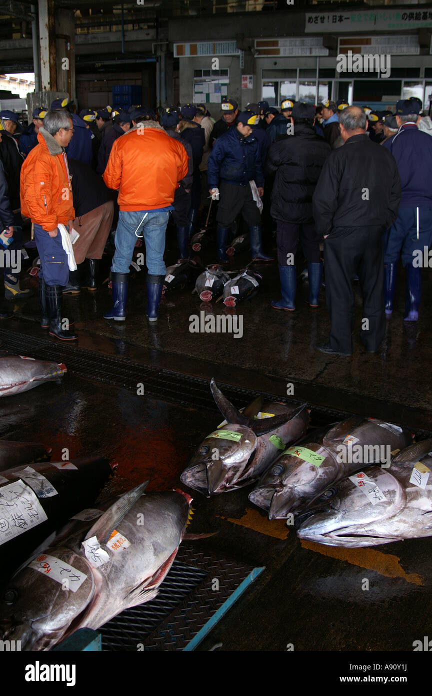 Wholesale tuna fish market Hon Shiogama Stock Photo - Alamy