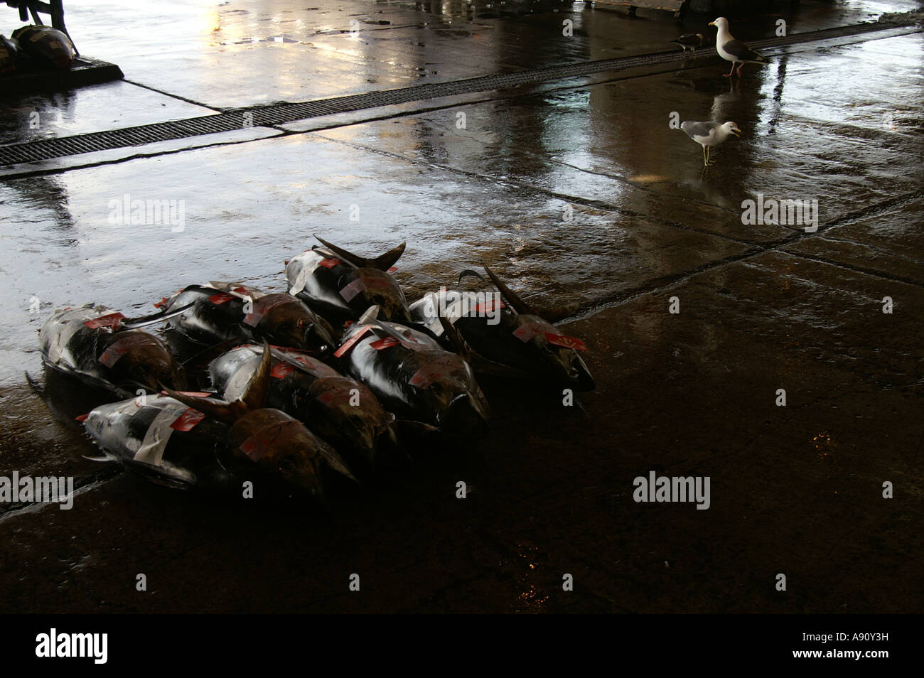 Shiogama fish market hi-res stock photography and images - Alamy