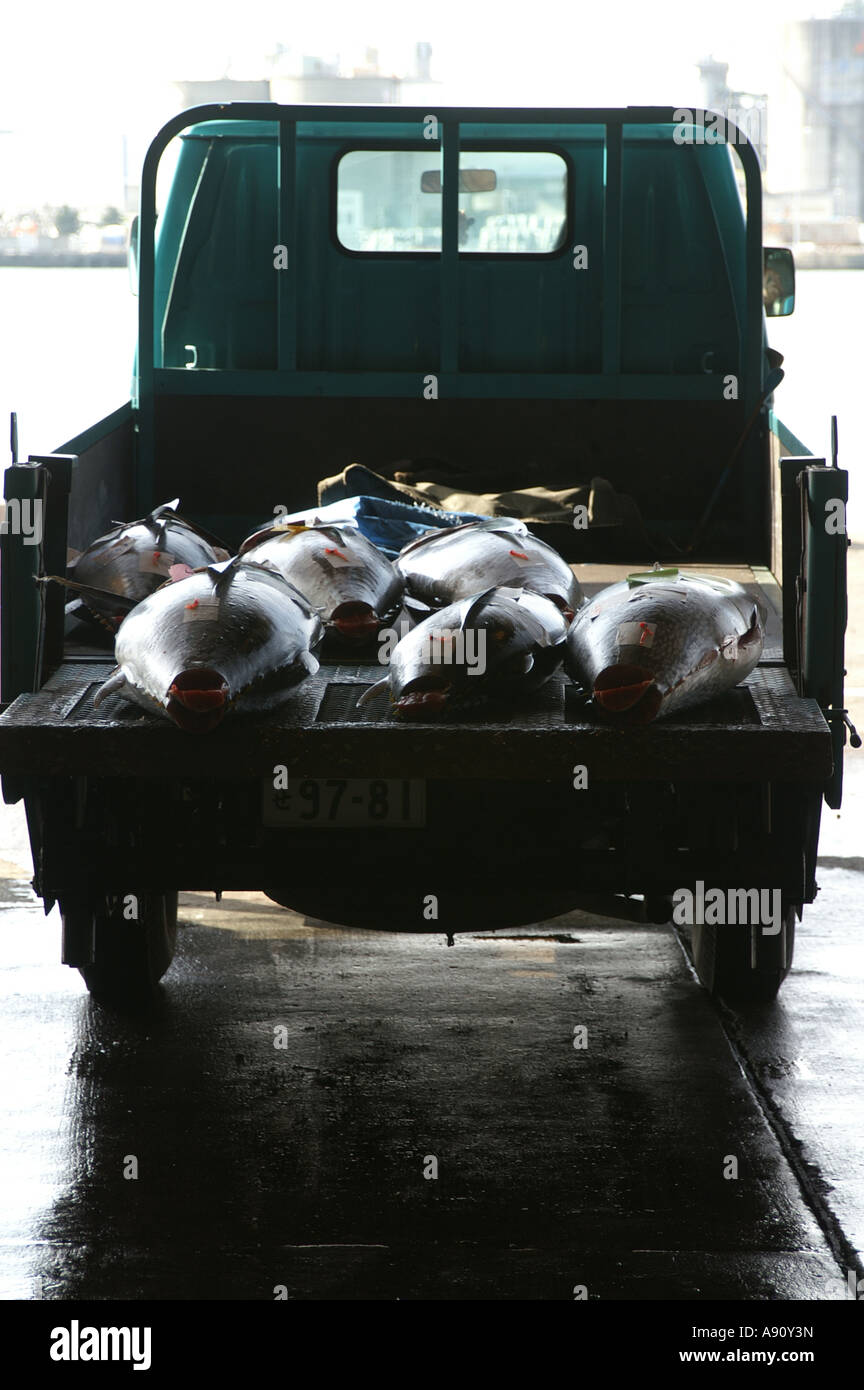 Wholesale tuna fish market Hon Shiogama Stock Photo - Alamy