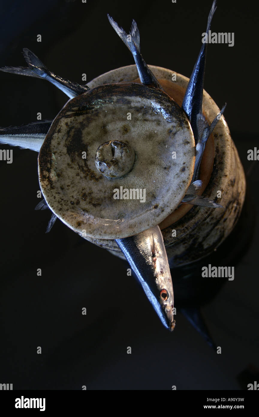 Samma fish and mizusashi water jar Stock Photo - Alamy