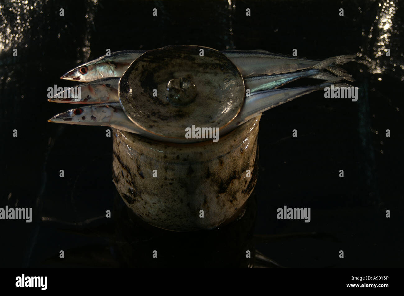 Samma fish and mizusashi water jar Stock Photo - Alamy