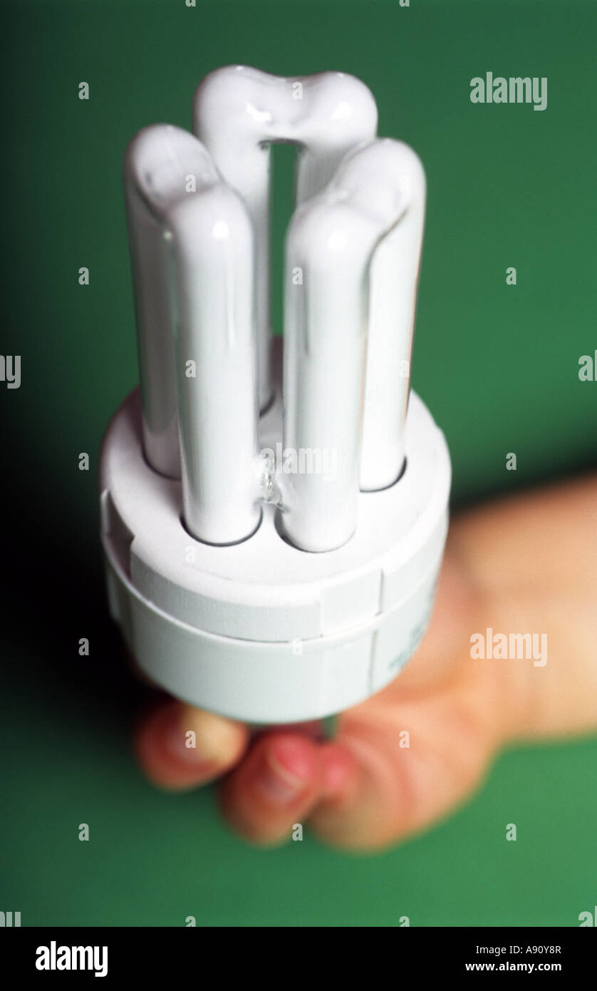 Domestic low energy light bulbs Stock Photo - Alamy