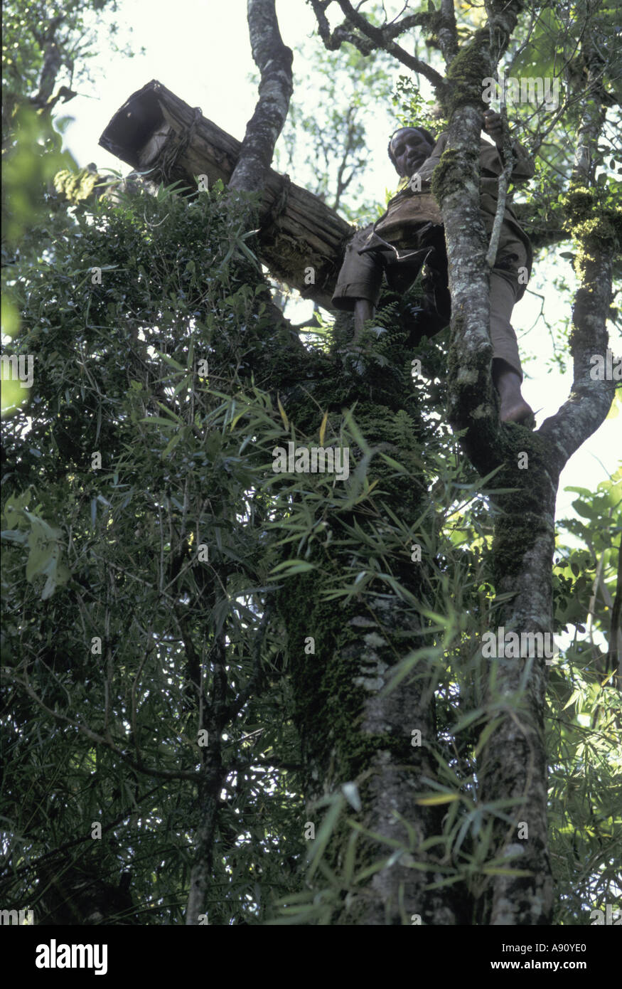 Ogiek Hunter In Mau Forest High Resolution Stock Photography and Images ...