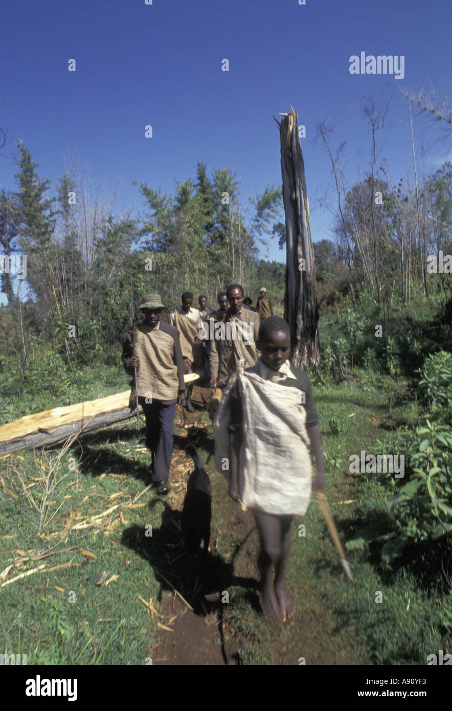 Mau forest hi-res stock photography and images - Alamy