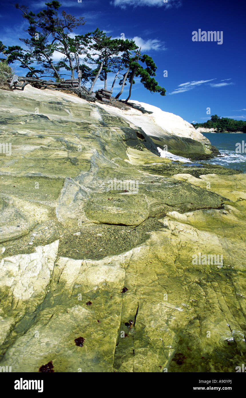 Matsushima coast hi-res stock photography and images - Alamy