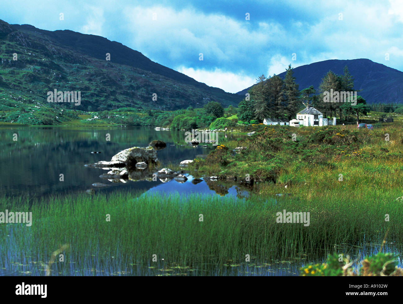 ireland county kerry, kilalrney national park, summer vibrant ...