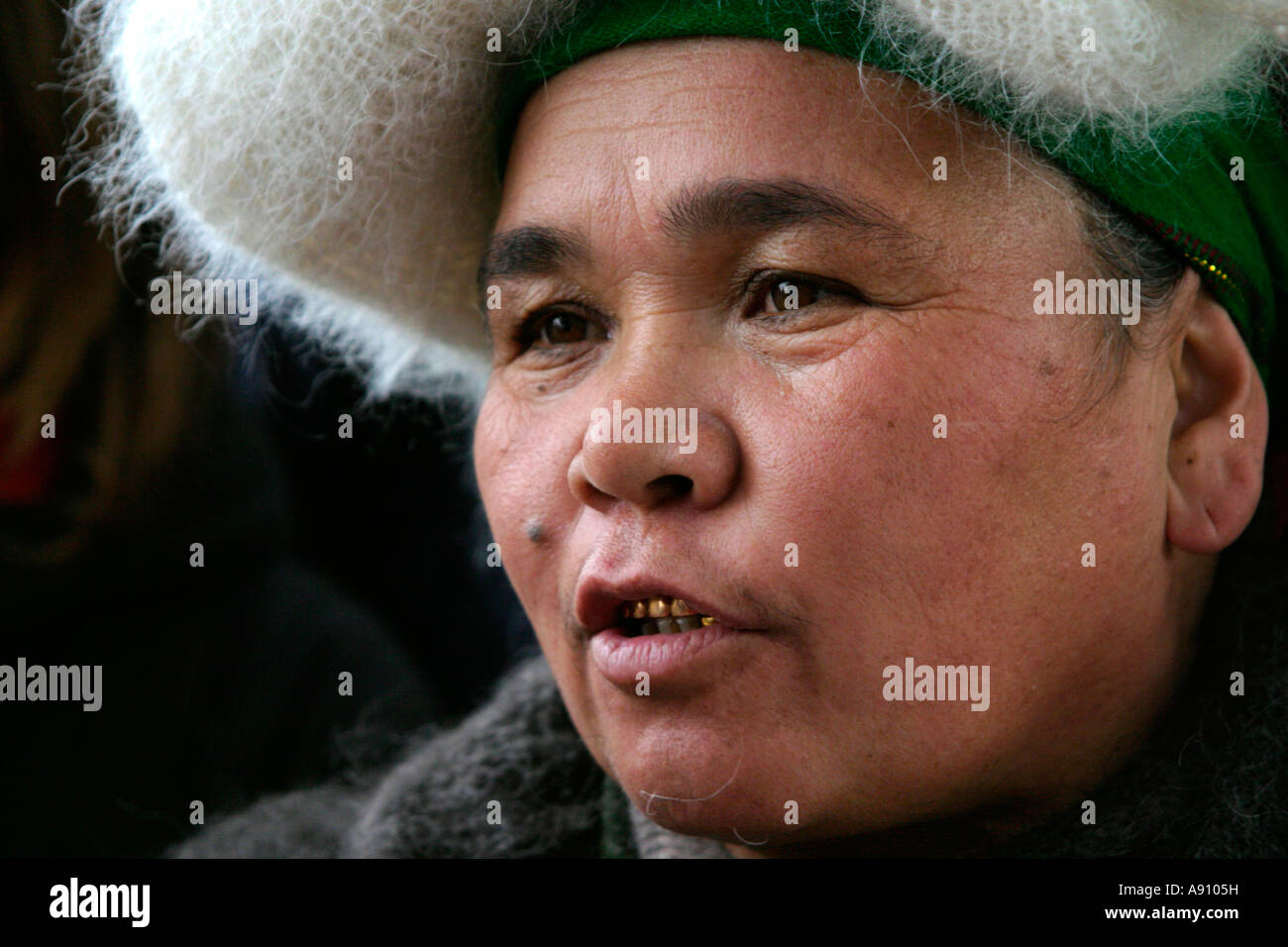 Portrait of a Uzbek woman with golden teeth, Uzbekistan Stock Photo - Alamy