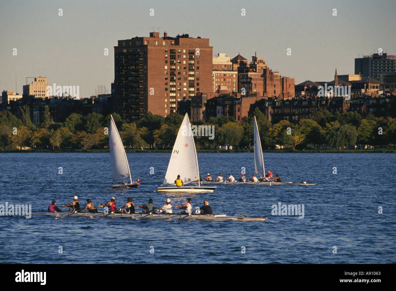 Sculling On Charles River Harvard High Resolution Stock Photography and ...