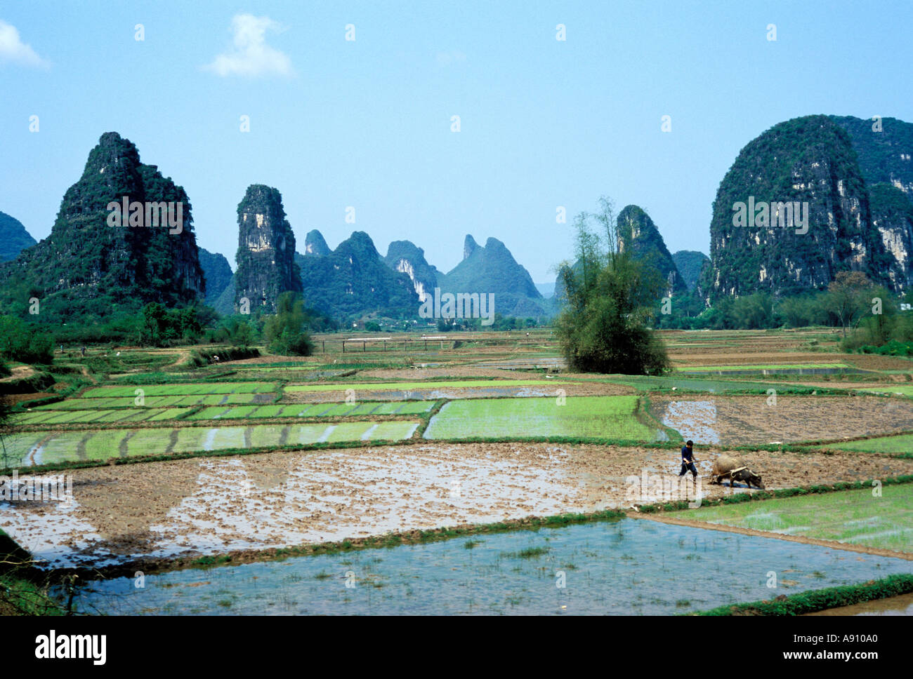 rice paddies in guangxi china Stock Photo - Alamy