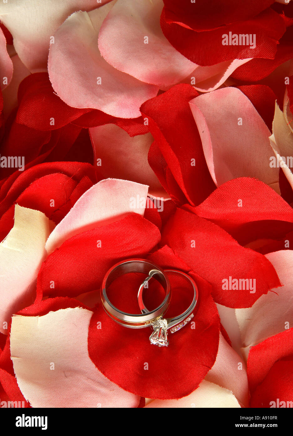 Wedding rings on display Stock Photo - Alamy