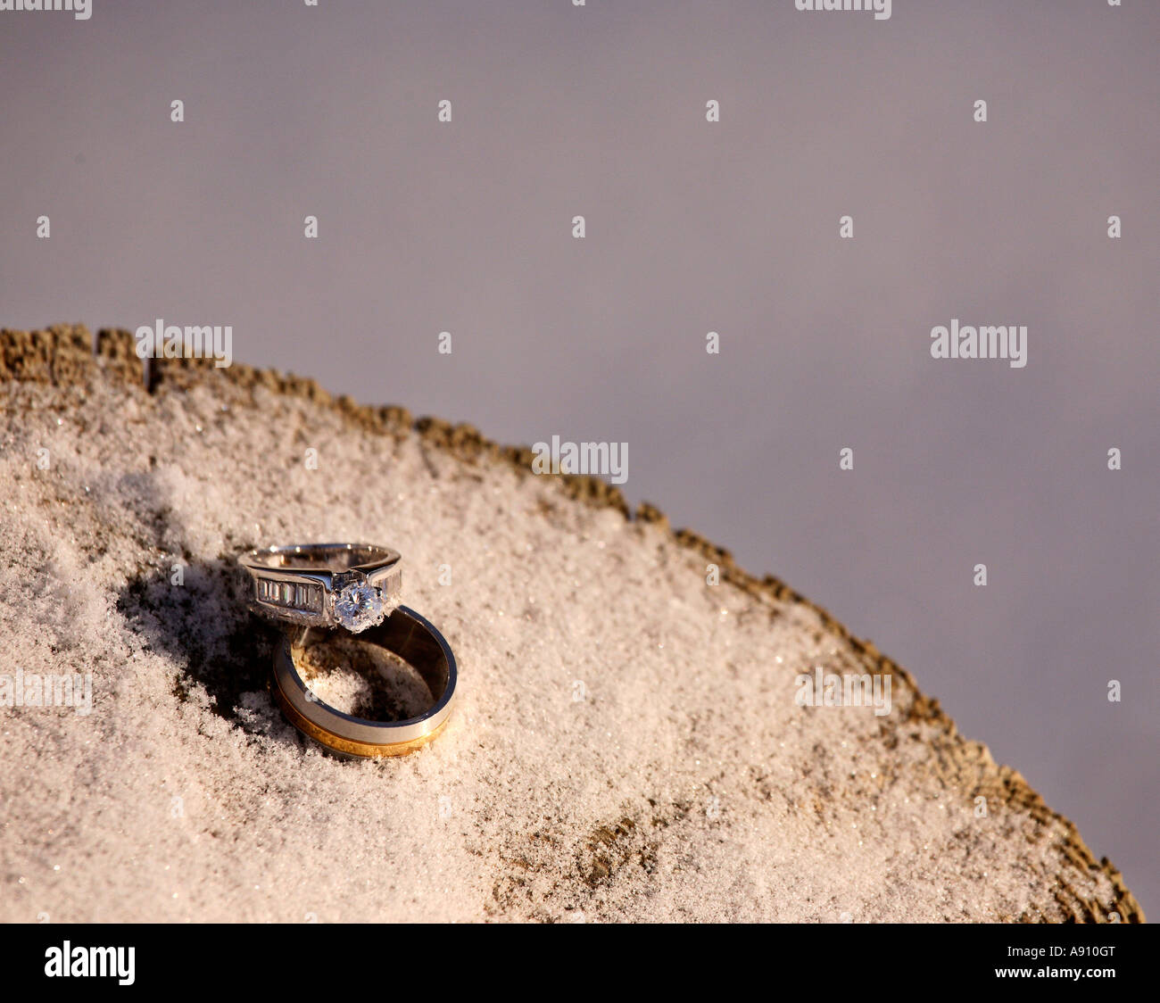 Wedding rings on display Stock Photo - Alamy
