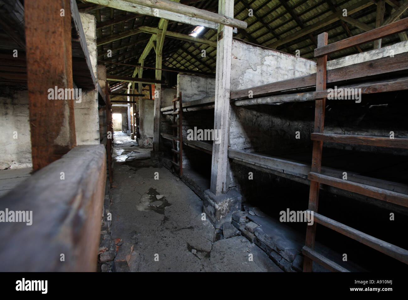 Inside the barracks in Auschwitz II (Birkenau), Poland Stock Photo - Alamy