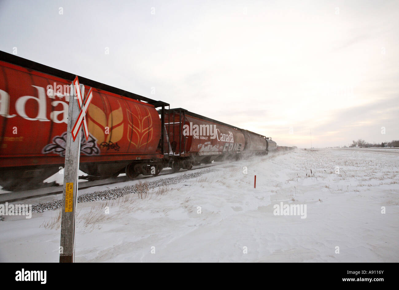 Rail cars at train crossing in Saskatchewan Stock Photo - Alamy